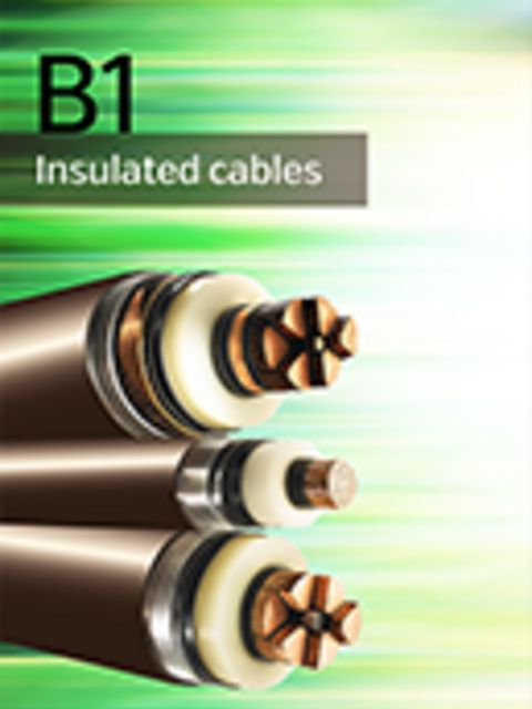Losses in Armoured Three Core Power Cables | eCIGRE