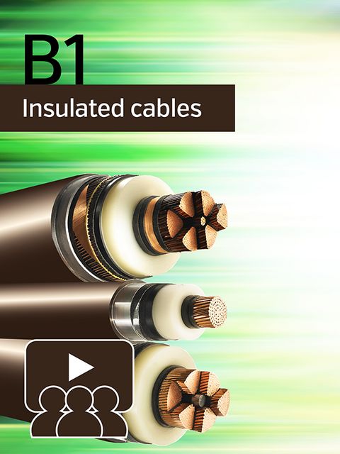 Installation of Submarine Power Cables - Webinars | eCIGRE